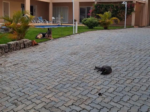 Sítio / Chácara para Venda em Bragança Paulista/SP Jardim América 2 Quartos