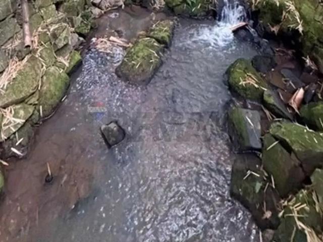 Sítio / Chácara para Venda em Bragança Paulista/SP Penha 3 Quartos