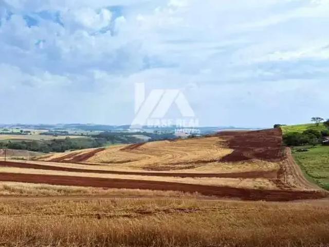Sítio / Chácara para Venda em Braganey/PR Zona Rural