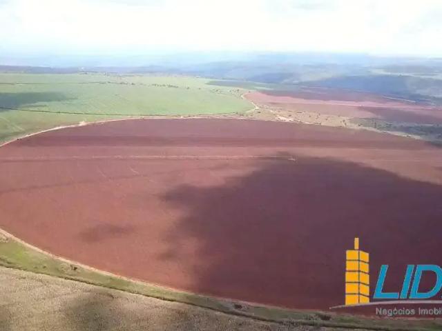 Sítio / Chácara para Venda em Brasília/DF Zona Rural