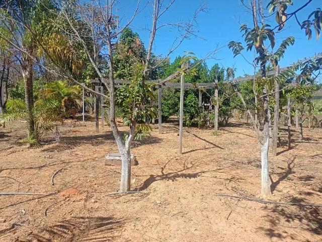 Sítio / Chácara para Venda em Brasília/DF Zona Rural 4 Quartos