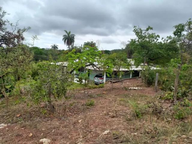 Sítio / Chácara para Venda em Brasília/DF Área Rural de Planaltina 3 Quartos