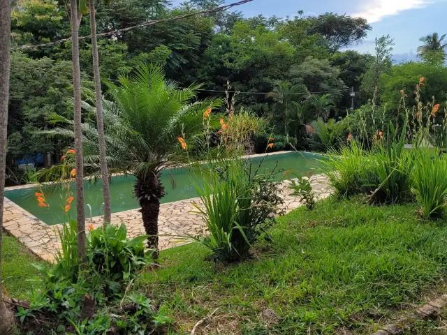 Sítio / Chácara para Venda em Brasília/DF Área Rural de Sobradinho