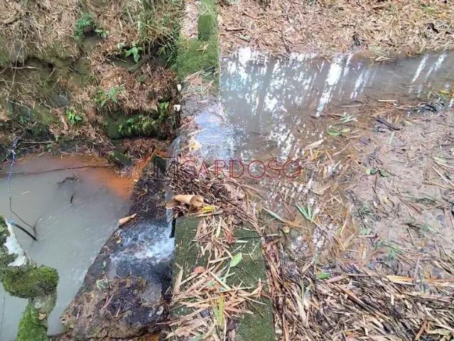 Sítio / Chácara para Venda em Brasília/DF Recanto das Emas 3 Quartos