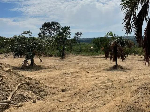 Sítio / Chácara para Venda em Brasília/DF Setor de Mansões do Lago Norte