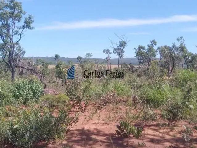 Sítio / Chácara para Venda em Brasília/DF Setor Habitacional Tororó Santa Maria