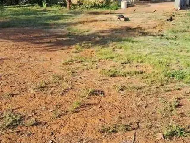 Sítio / Chácara para Venda em Brasília/DF Setor Norte Brazlândia 3 Quartos