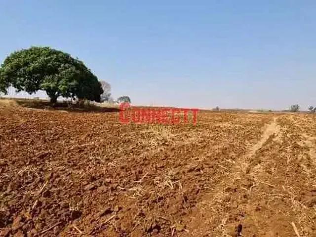 Sítio / Chácara para Venda em Brodowski/SP Zona Rural 1 Quartos