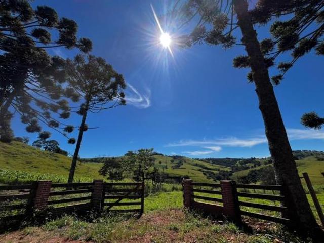 Sítio / Chácara para Venda em Bueno Brandão, rural