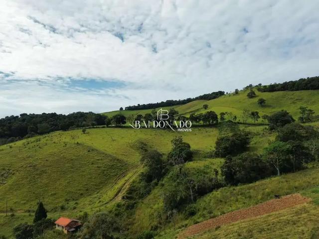 Sítio / Chácara para Venda em Bueno Brandão/MG Centro