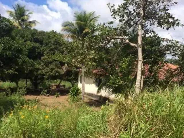 Sítio / Chácara para Venda em Goiana/PE Tejucupapo 2 Quartos