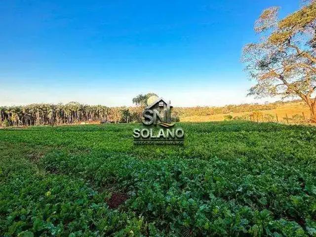 Sítio / Chácara para Venda em Goiânia/GO Chácaras Helou 3 Quartos