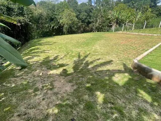 Sítio / Chácara para Venda em Goiânia/GO Condomínio Privê das Oliveiras