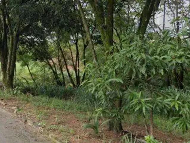 Sítio / Chácara para Venda em Goiânia/GO Jardim Califórnia