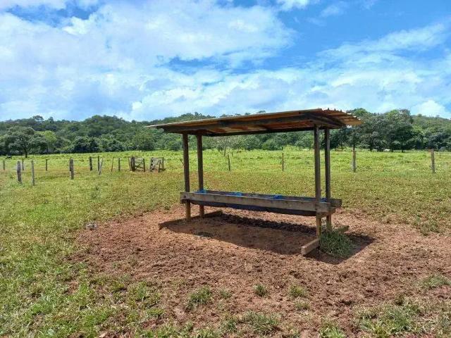 Sítio / Chácara para Venda em Goiânia/GO Jardim Nova Esperança