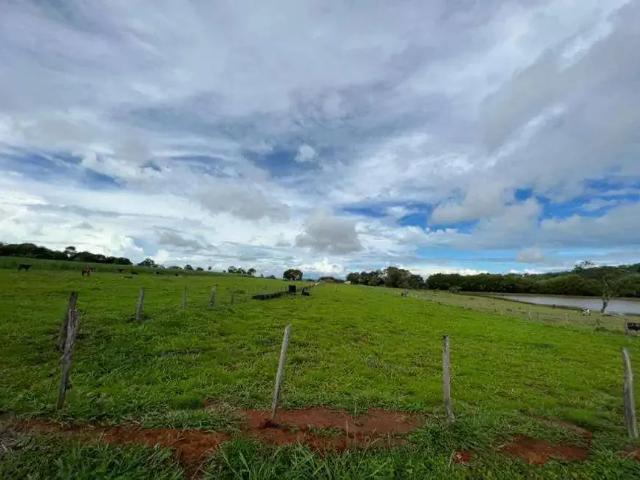 Sítio / Chácara para Venda em Goiânia/GO Jardim Nova Esperança 4 Quartos