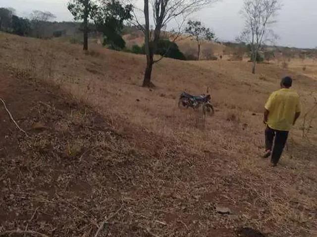Sítio / Chácara para Venda em Goiânia/GO Jardim Nova Esperança