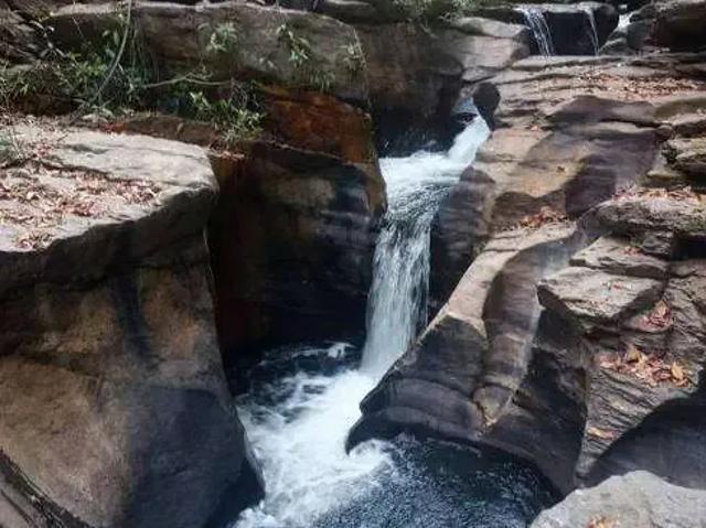 Sítio / Chácara para Venda em Goiânia/GO Jardim Nova Esperança 2 Quartos