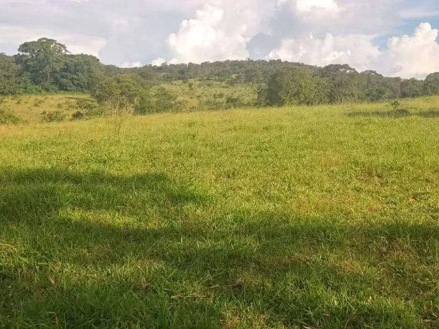 Sítio / Chácara para Venda em Goiânia/GO Jardim Nova Esperança 2 Quartos