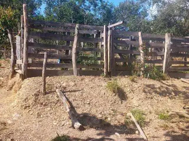 Sítio / Chácara para Venda em Goiânia/GO Jardim Nova Esperança 3 Quartos