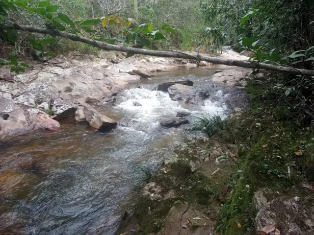 Sítio / Chácara para Venda em Goiânia/GO Jardim Nova Esperança 3 Quartos