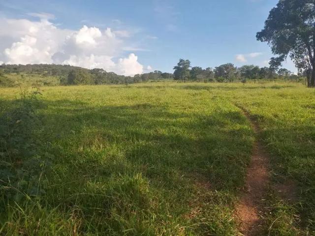 Sítio / Chácara para Venda em Goiânia/GO Jardim Nova Esperança 3 Quartos