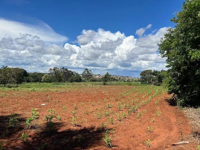 Sítio / Chácara para Venda em Goiânia/GO Parque Bom Jesus