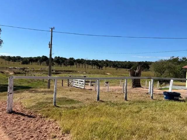 Sítio / Chácara para Venda em Goiânia/GO Setor Castelo Branco 1 Quartos