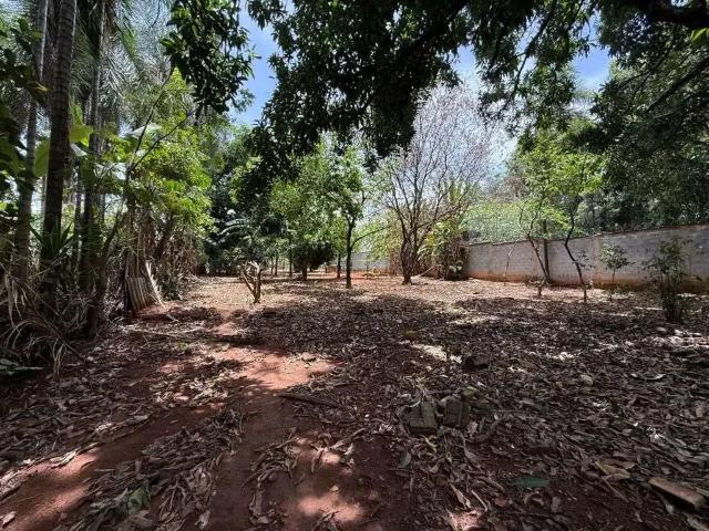 Sítio / Chácara para Venda em Goiânia/GO Setor Faiçalville 3 Quartos