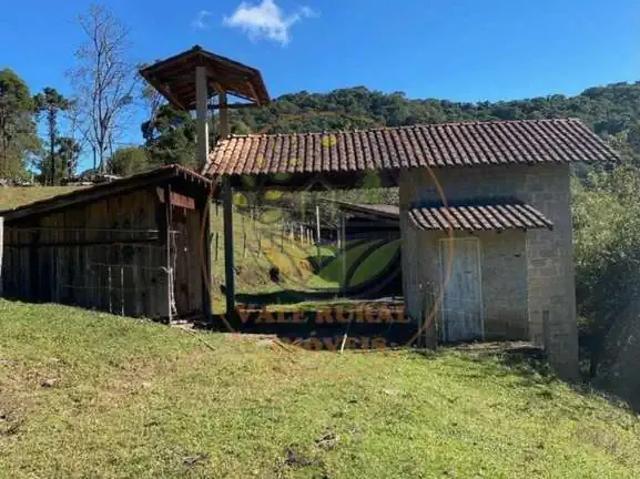 Sítio / Chácara para Venda em Gonçalves/MG Zona Rural