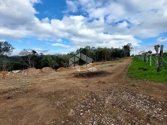 Sítio / Chácara para Venda em Garibaldi/RS Garibaldina
