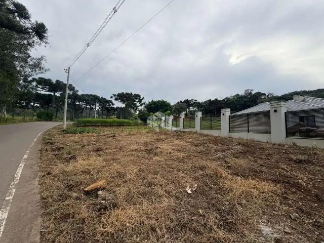 Sítio / Chácara para Venda em Garibaldi/RS Zona Rural