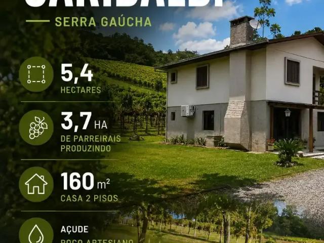 Sítio / Chácara para Venda em Garibaldi/RS Zona Rural 3 Quartos