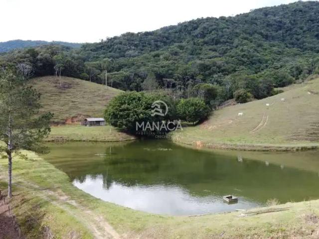 Sítio / Chácara para Venda em Gaspar/SC Alto Gasparinho