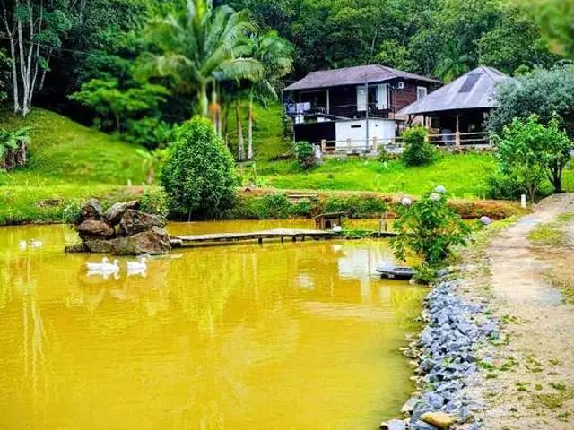 Sítio / Chácara para Venda em Gaspar/SC Arraial D'Ouro 4 Quartos