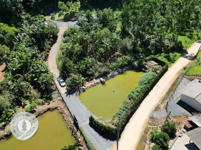 Sítio / Chácara para Venda em Gaspar/SC Belchior Baixo 2 Quartos