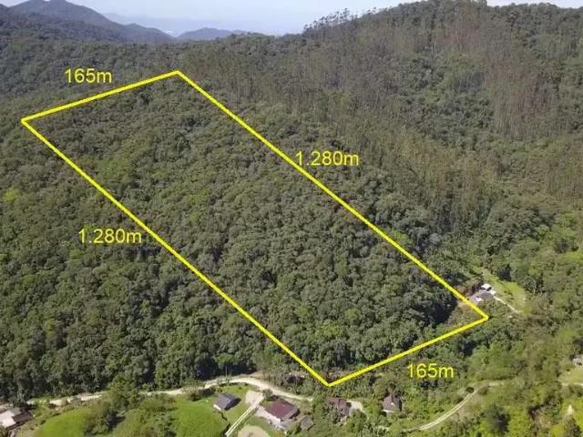Sítio / Chácara para Venda em Gaspar/SC Gaspar Alto