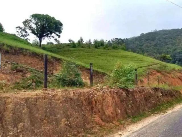 Sítio / Chácara para Venda em Gaspar/SC Gaspar Alto