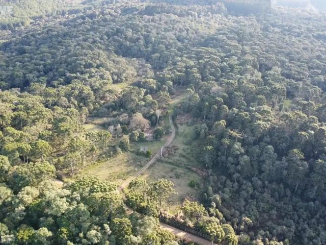Sítio / Chácara para Venda em General Carneiro/PR Centro
