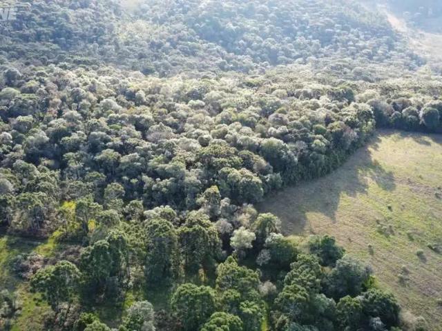 Sítio / Chácara para Venda em General Carneiro/PR Zona Rural