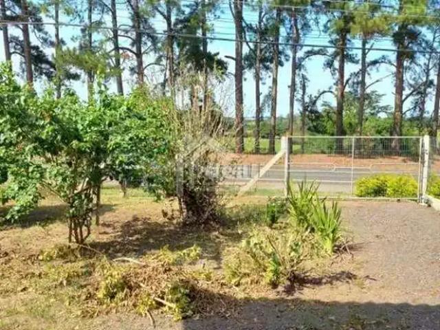 Sítio / Chácara para Venda em Glorinha/RS Três Figueiras 2 Quartos