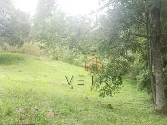 Sítio / Chácara para Venda em Gramado/RS Marcondes 5 Quartos