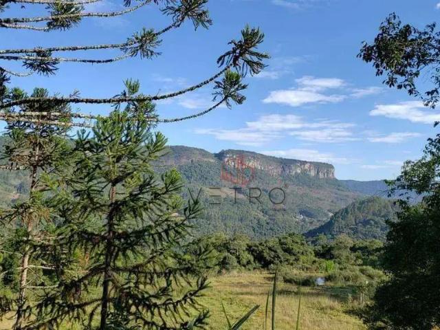 Sítio / Chácara para Venda em Gramado/RS Morro Redondo