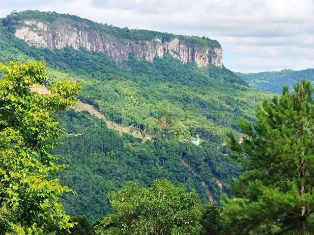 Sítio / Chácara para Venda em Gramado/RS Morro Redondo