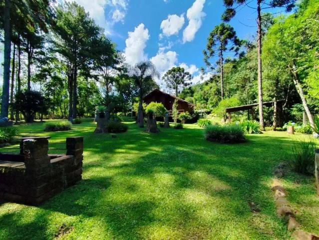 Sítio / Chácara para Venda em Gramado/RS Morro Redondo