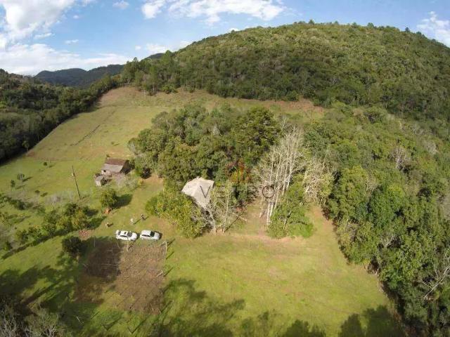 Sítio / Chácara para Venda em Gramado/RS Araripe