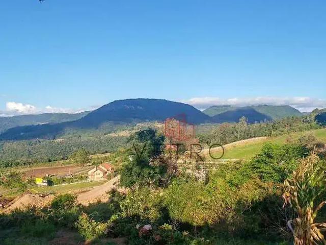 Sítio / Chácara para Venda em Gramado/RS Araripe