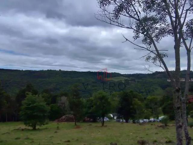 Sítio / Chácara para Venda em Gramado/RS Carazal