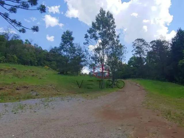 Sítio / Chácara para Venda em Gramado/RS Carazal