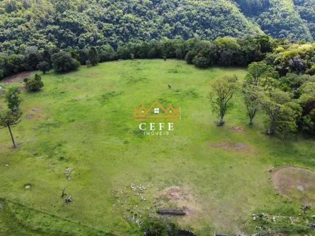 Sítio / Chácara para Venda em Gramado/RS Linha Ávila 2 Quartos